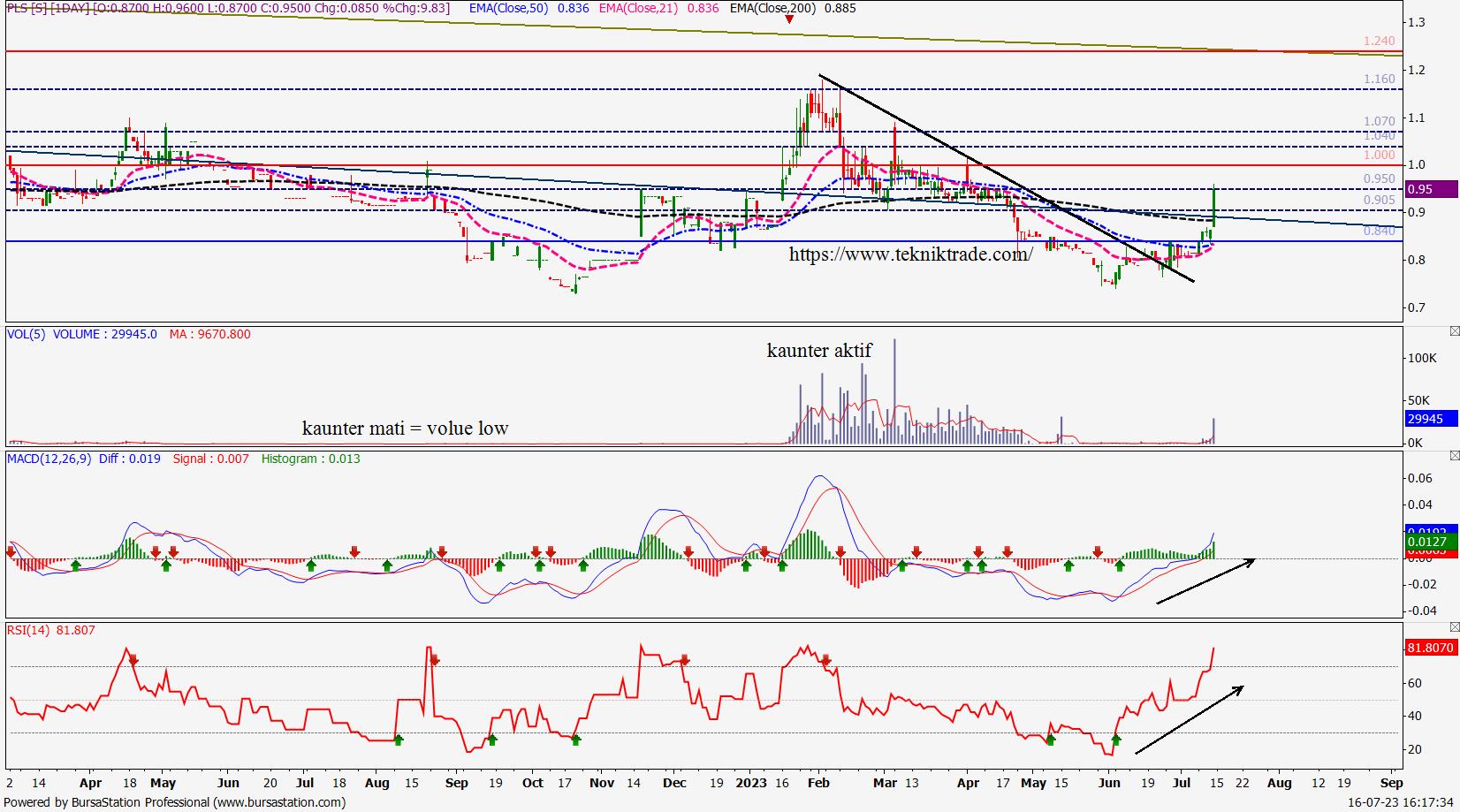 PLS Plantations to venture into large-scale banana plantation business